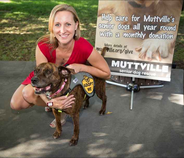 Bubblicious | Muttville