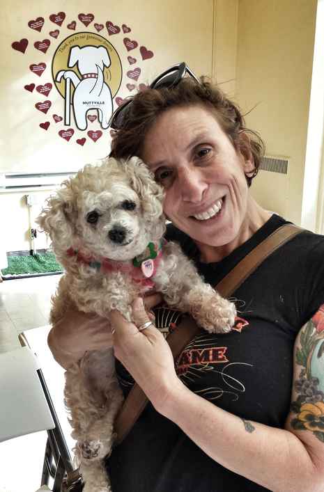 Taffy Twinkle | Muttville