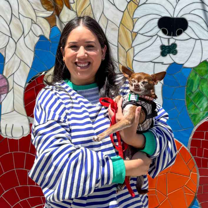 Stern Grove | Muttville